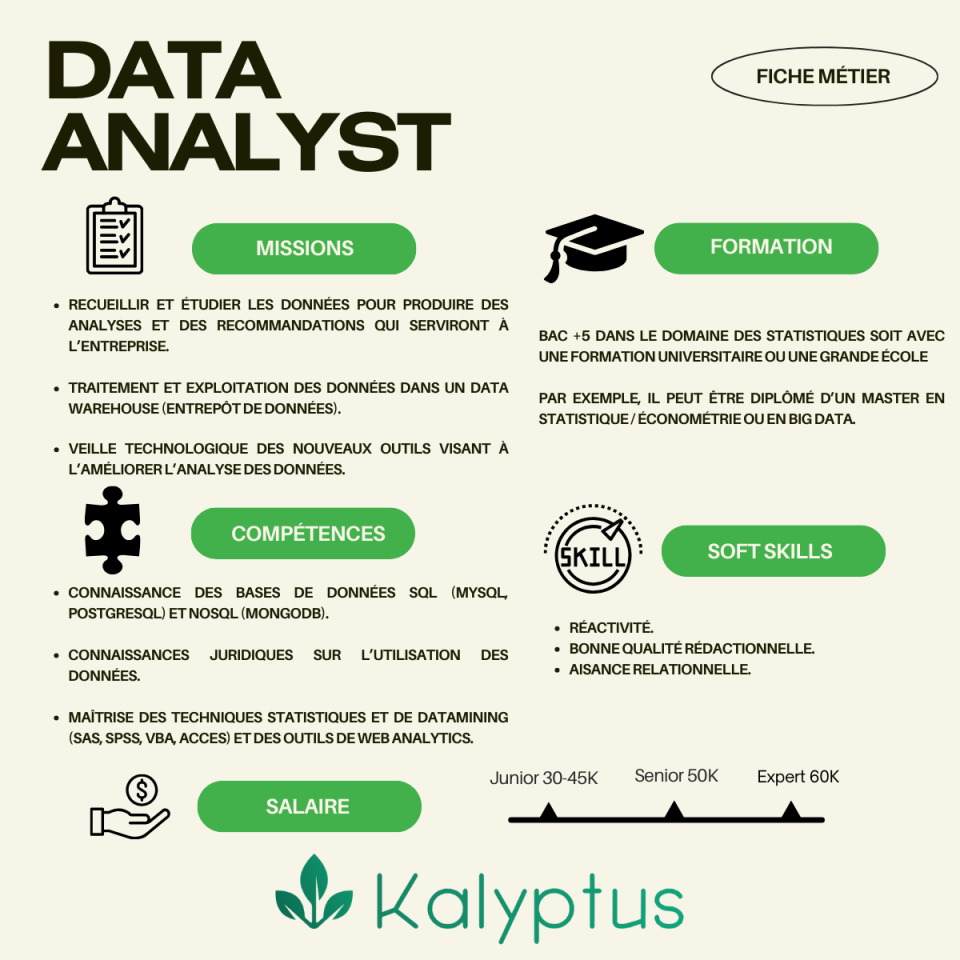 Data Analyst : Missions, Formations, Salaire