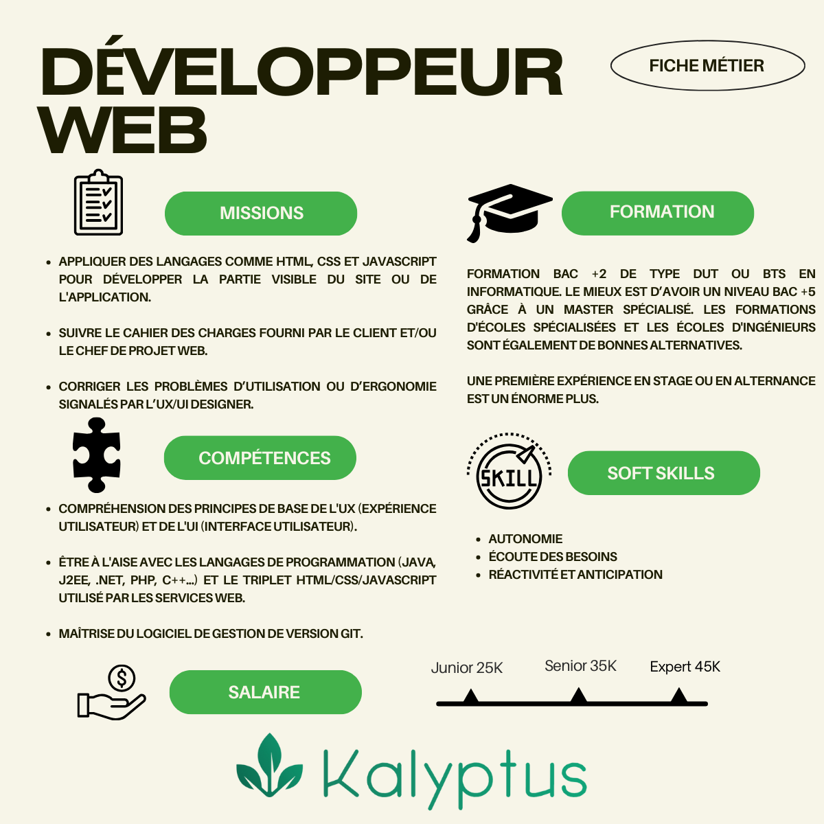 Développeur Web : Missions, Formations, Salaire