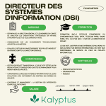Directeur des Systèmes d'Information (DSI) expliqué en détails