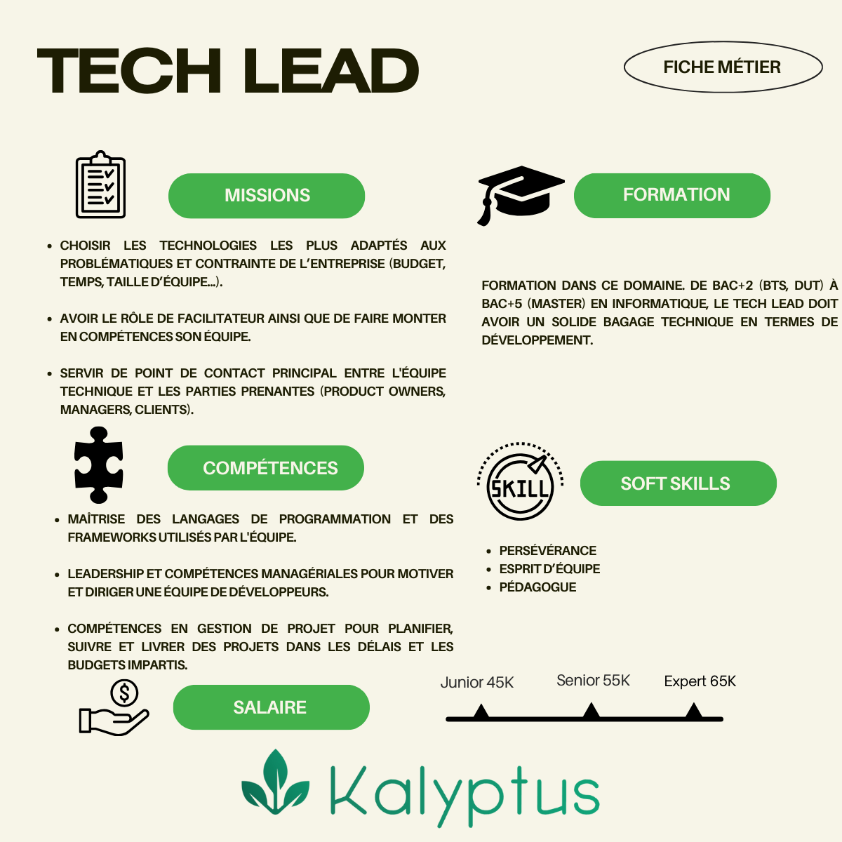 Tech Lead : Missions, Formations, Salaire