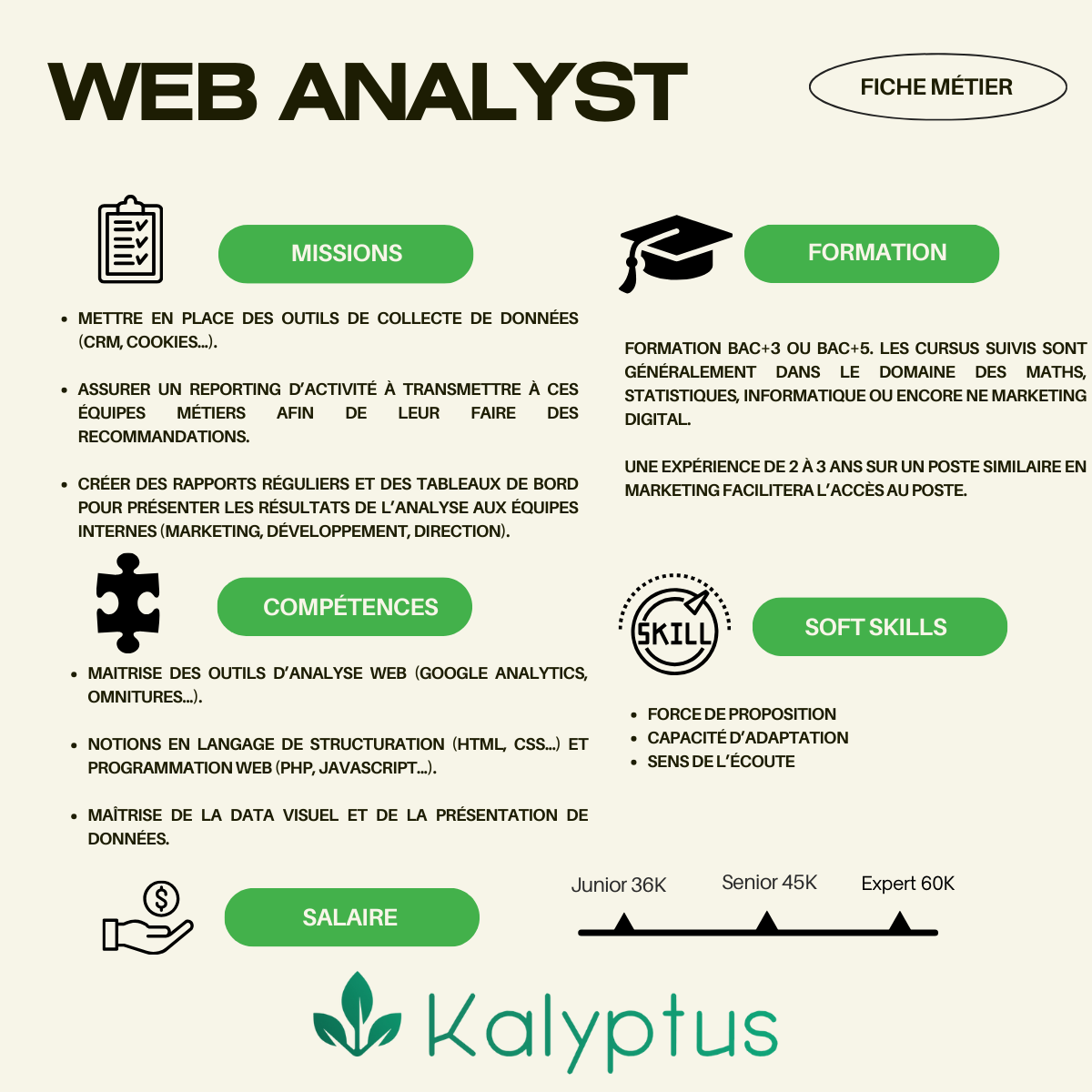 Web Analyst : Missions, Formations, Salaire