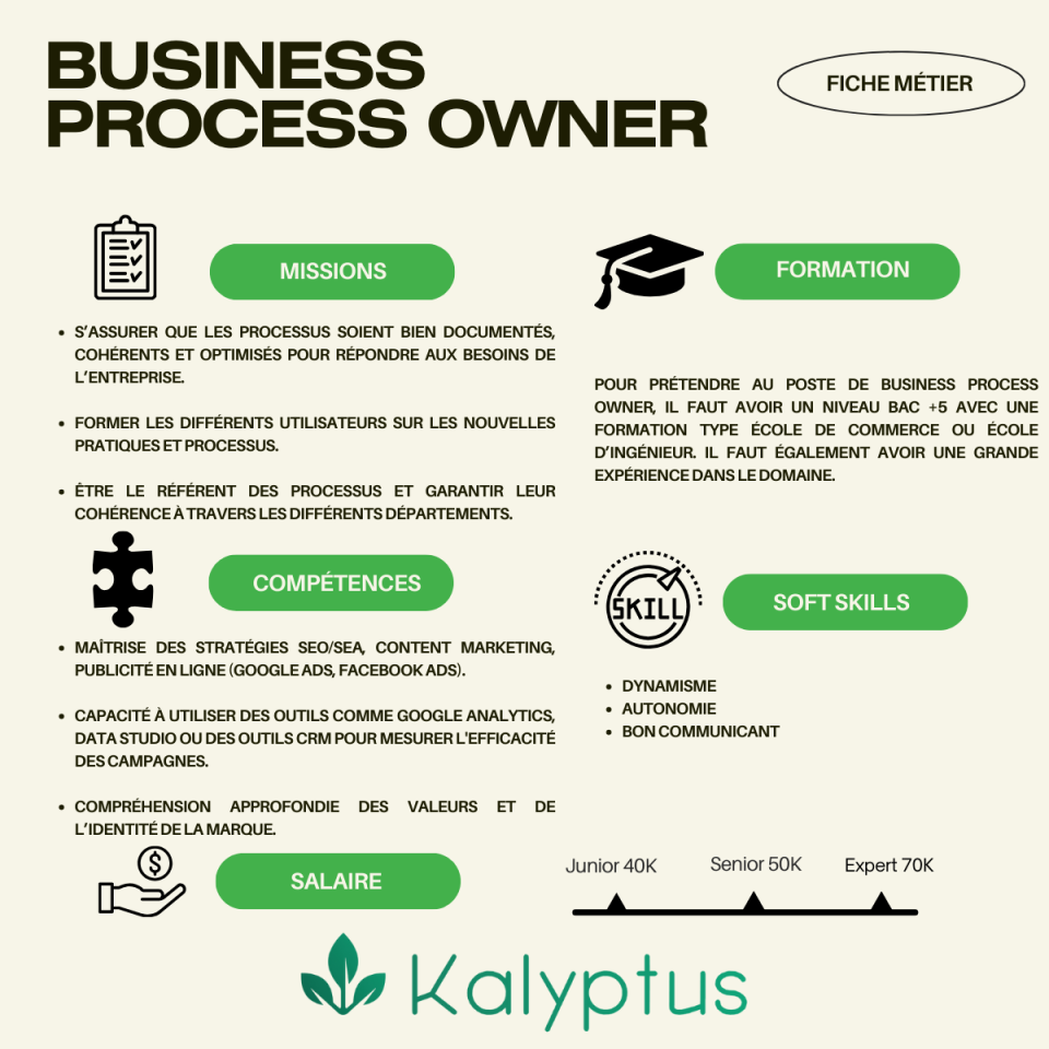 Business Process Owner : Missions, Formations, Salaire
