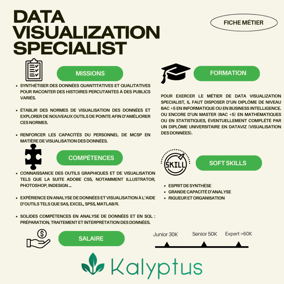 Data Visualization Specialist : Missions, Formations, Salaire